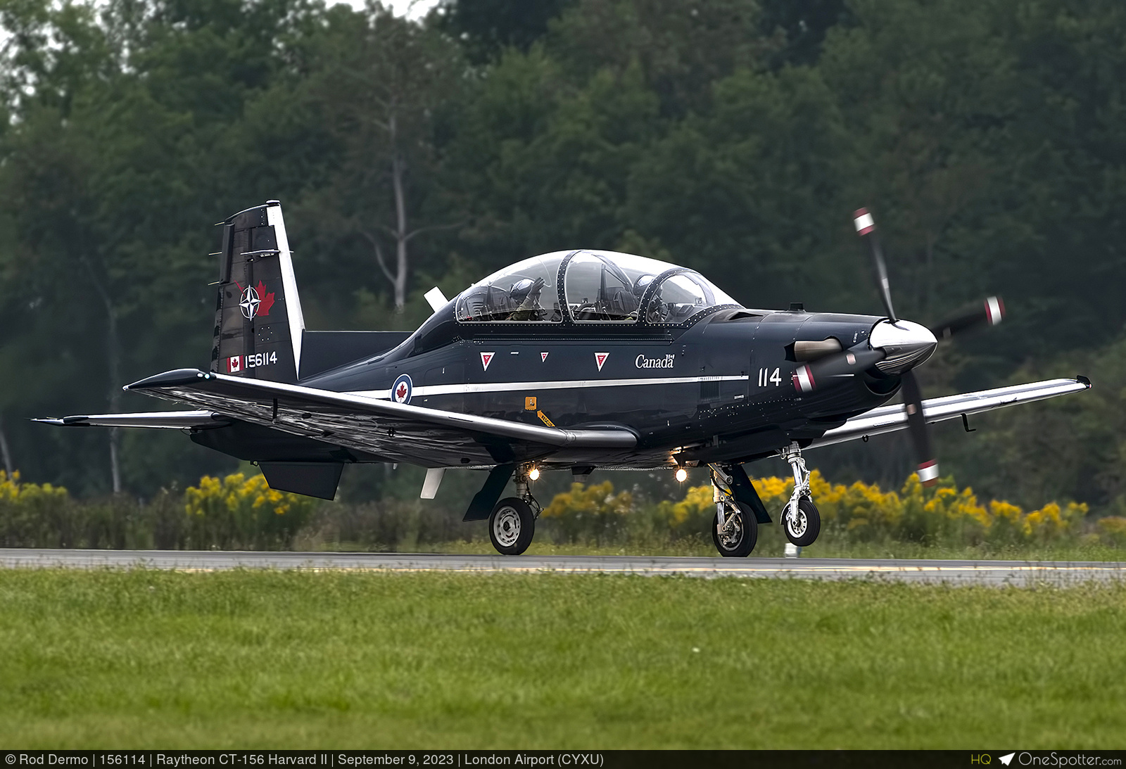 156114 - Raytheon CT-156 Harvard II, Canadian Armed Forces | OneSpotter.com